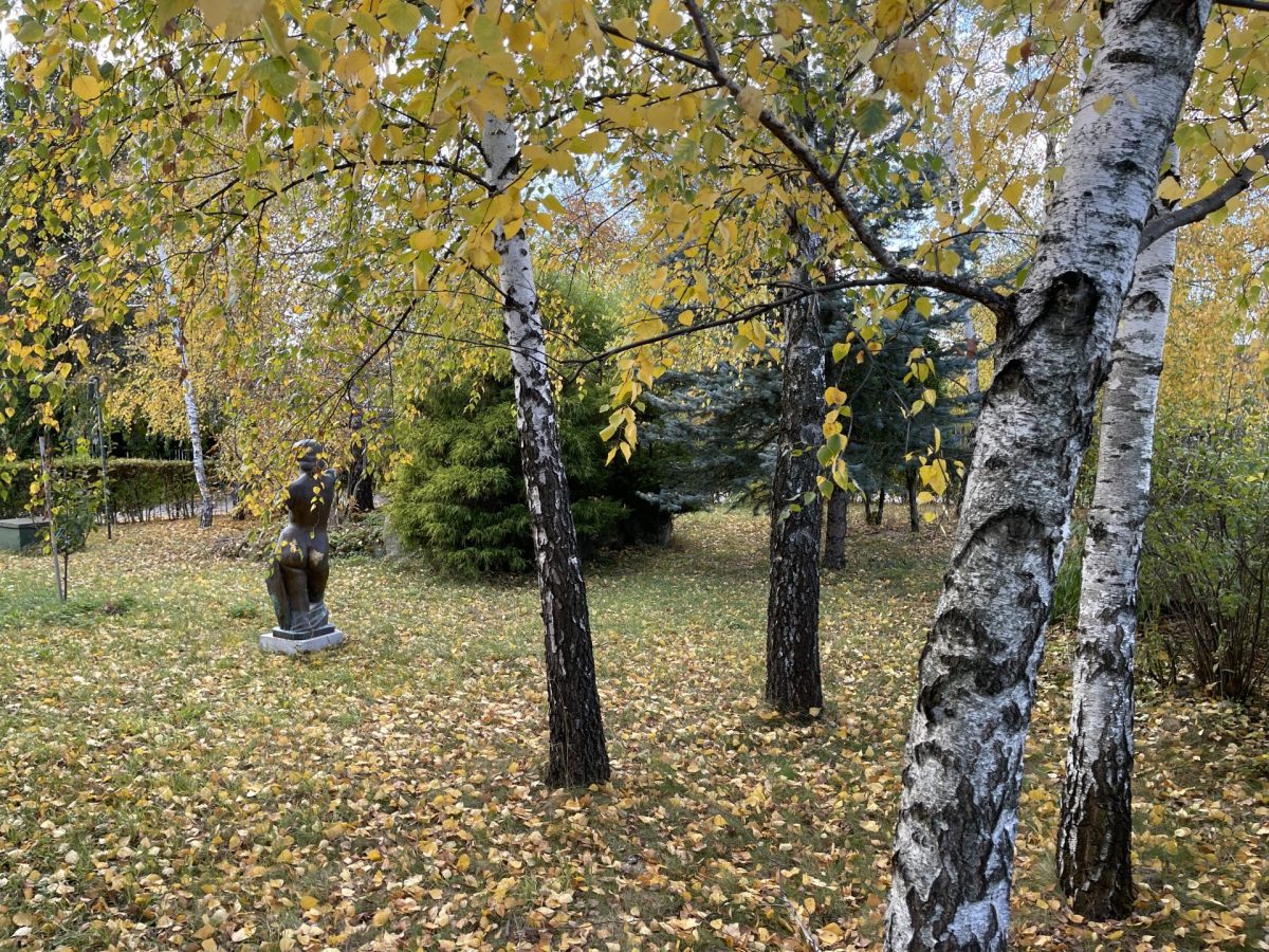 Bogdan Tiberiu Iacob despre istoria „armistitiilor politice” din ...